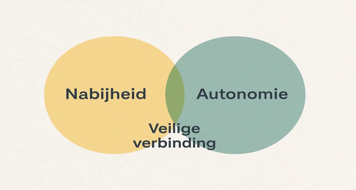 diagram-nabijheid-autonomie-veilige-verbinding-angstig-vermijdende.